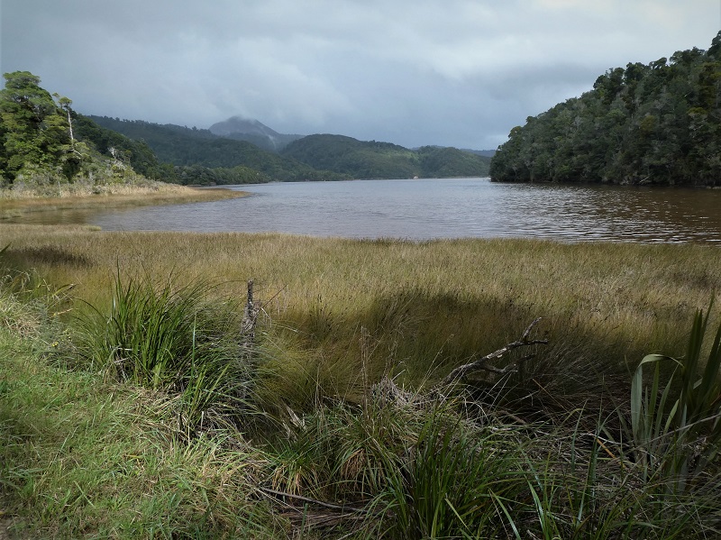 Exploring a portion of the Nor’west aspect of Golden Bay – The Canvas ...
