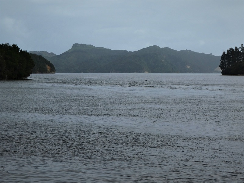 Exploring a portion of the Nor’west aspect of Golden Bay – The Canvas ...